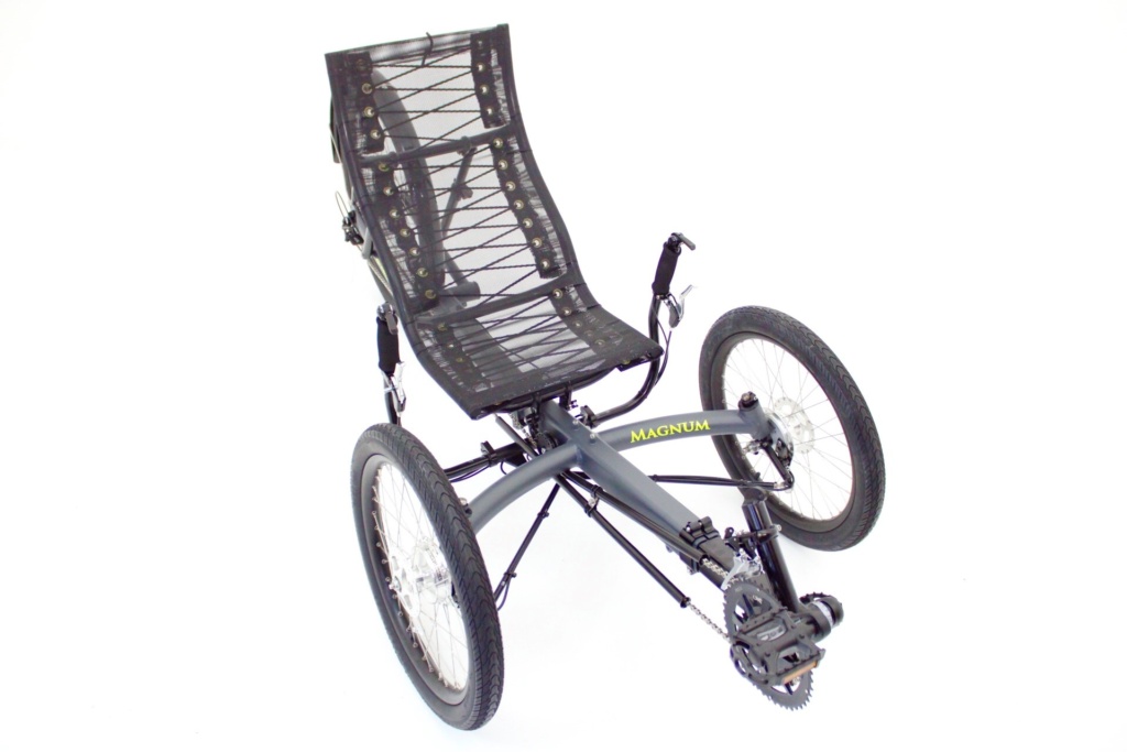 GreenSpeed | Hpv Types | Trisled
