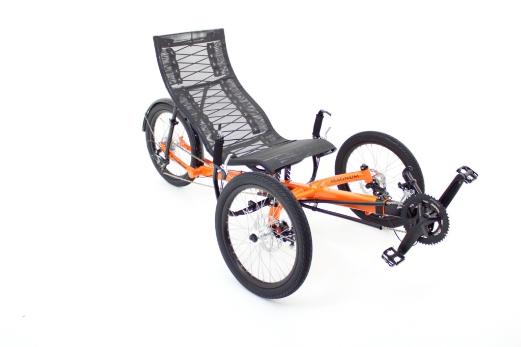 GreenSpeed | Hpv Types | Trisled